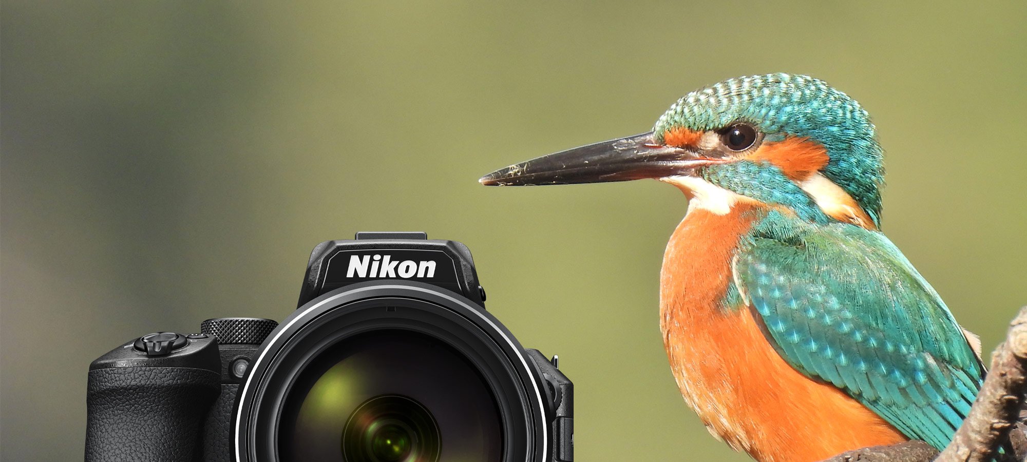 Nikon: Digitalkameras, Spiegelreflex-Kameras, Objektive & Zubehör