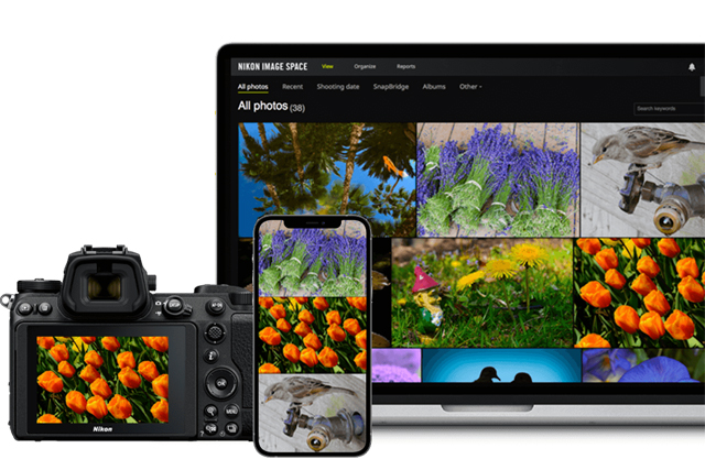 NX Studio | Image viewing and editing software